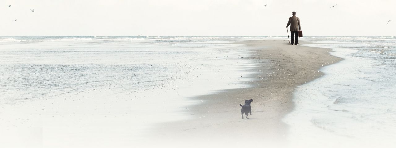 Die Reise seines Lebens | maxdome