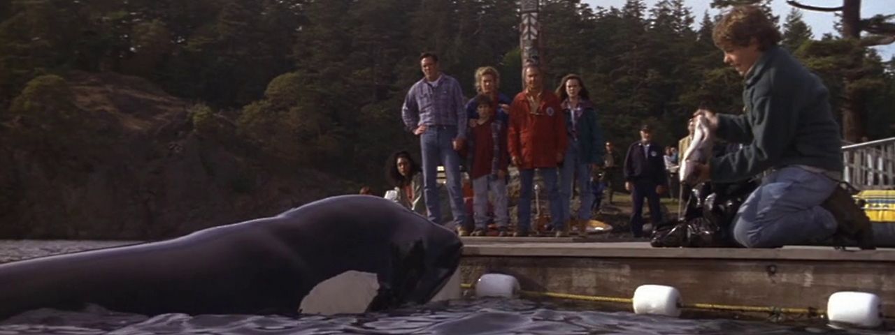 Free Willy 2 - Freiheit in Gefahr | maxdome
