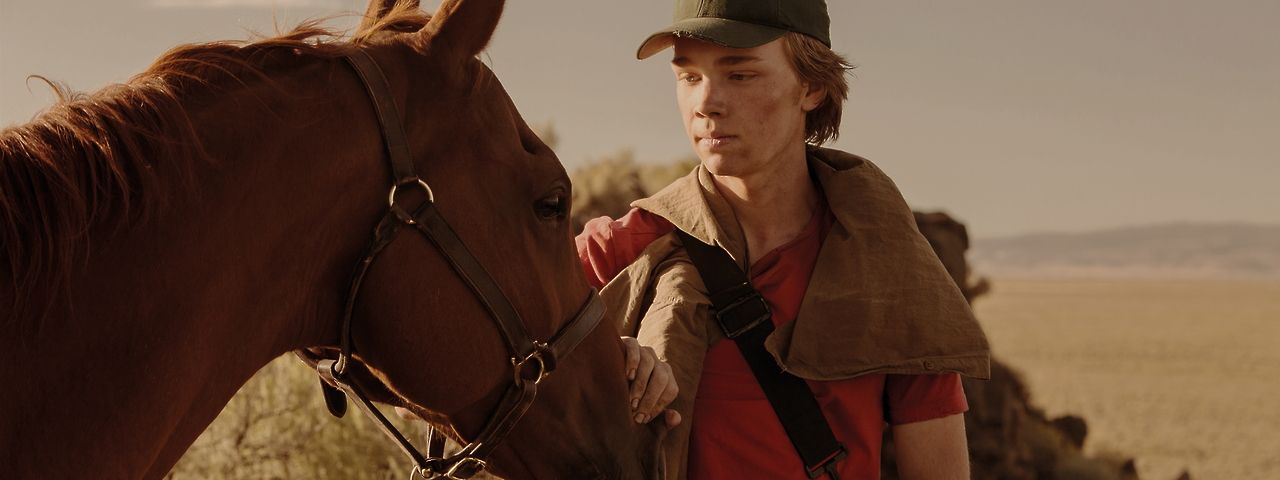 Lean on Pete | maxdome
