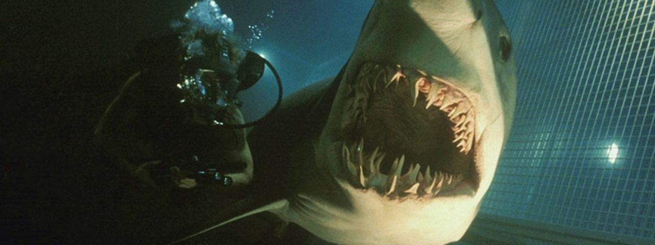 Deep Blue Sea 2 | maxdome