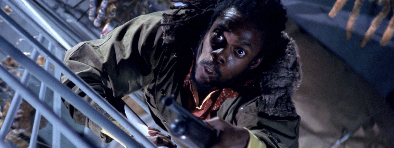 Arac Attack - Angriff der achtbeinigen Monster | maxdome