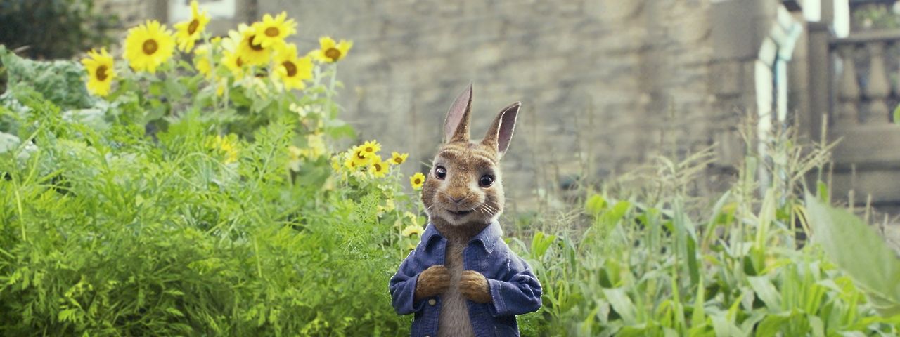 Peter Hase | maxdome