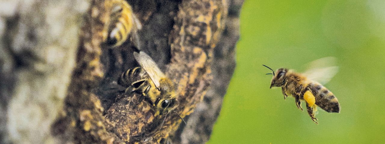 Eine Frage der Haltung | maxdome