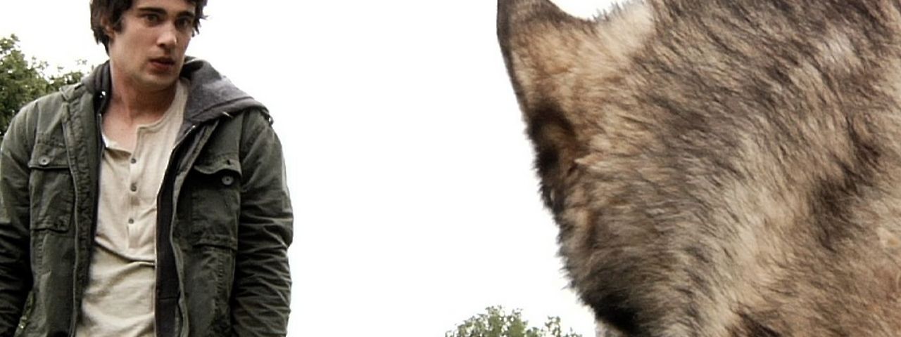 Wolf Town | maxdome