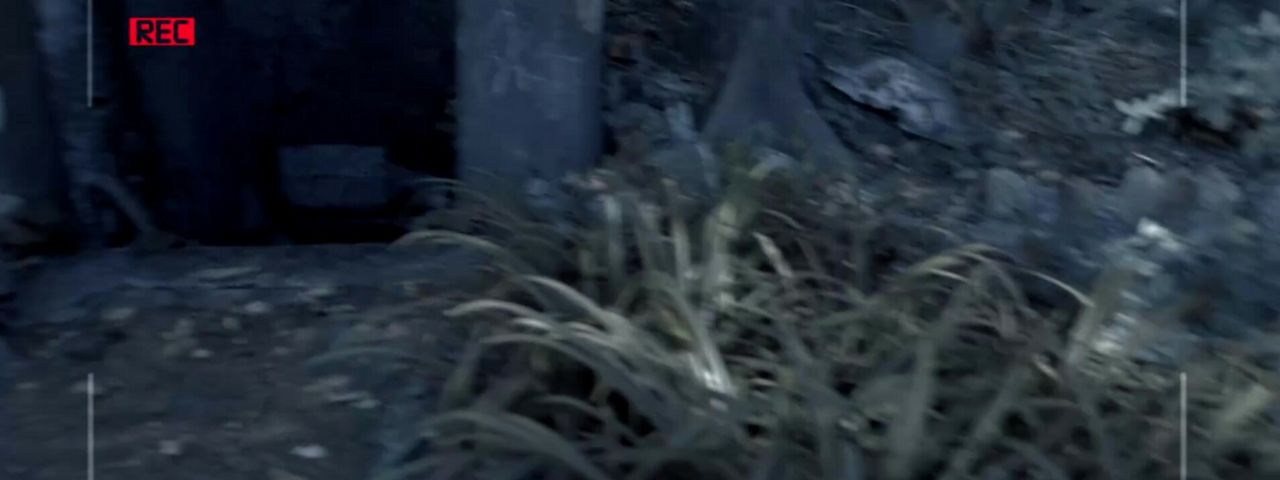 Paranormal Asylum | maxdome