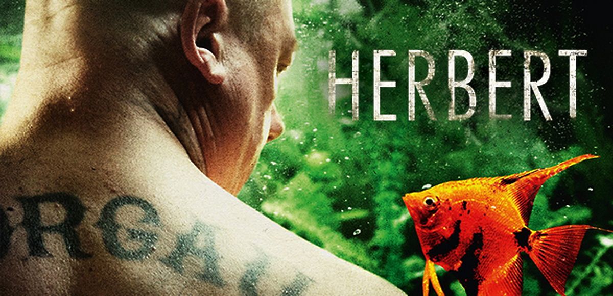 Herbert | videociety