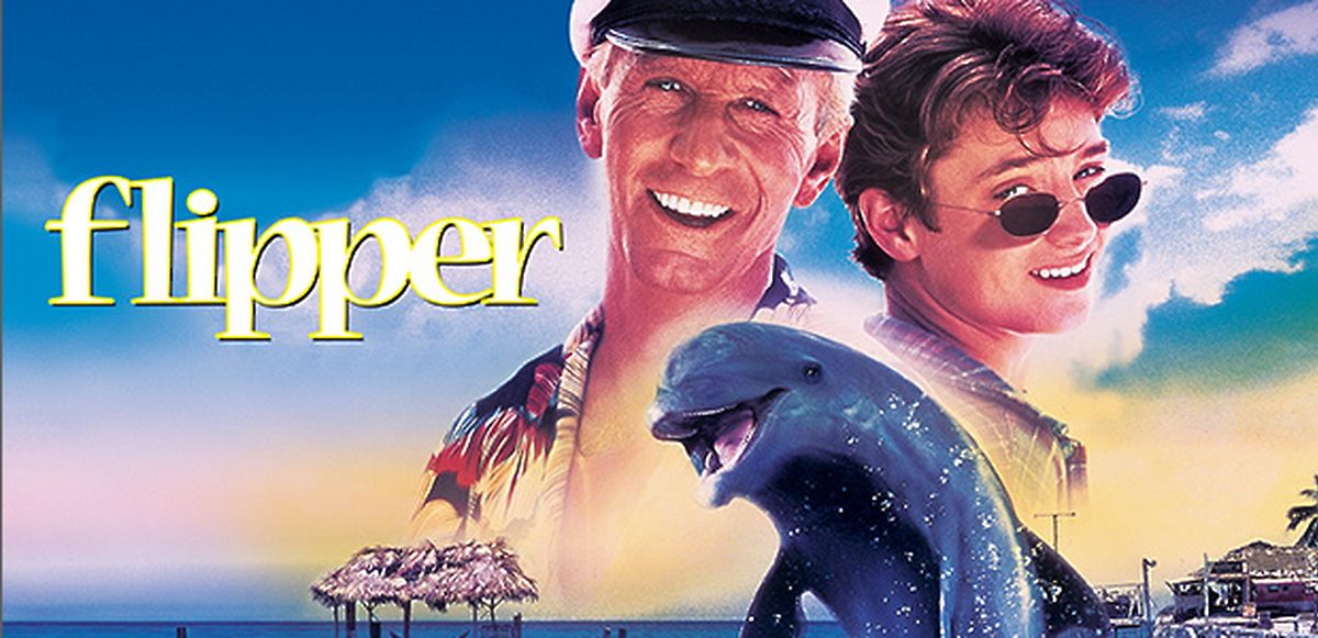 Flipper | videociety
